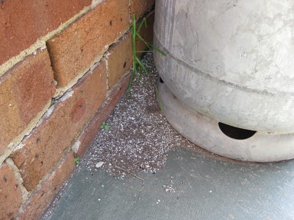 Termite Barriers: Types, Pros & Applications