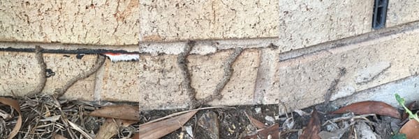 Termite Barriers: Types, Pros & Applications
