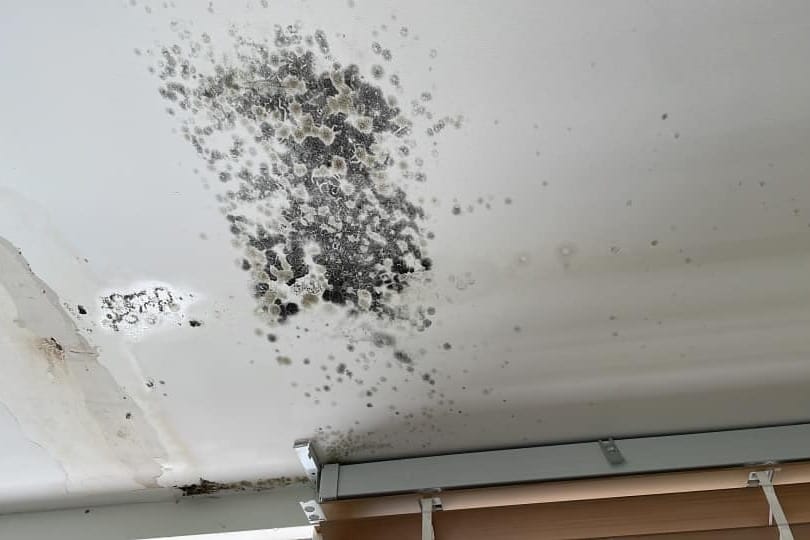 Mould Crisis in Oz Homes: Understanding a Condensation Issue